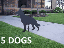 Keep Geese Away with the Goose Repellent Lone Dog Decoy