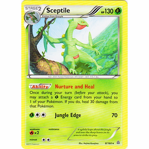 Pokemon Sceptile