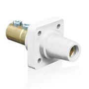 Leviton 16R22-W 16 Series Female 90-Degree Double Set Screw Receptacle ...
