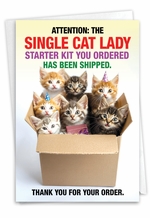 Single Cat Lady - Funny Birthday Card, Wholesale