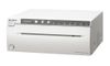 Sony A4 Analog and Digital B/W Ultrasound Printer UP-991AD | Beck-Lee