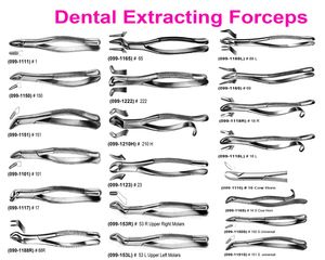 Dental Extracting Forceps