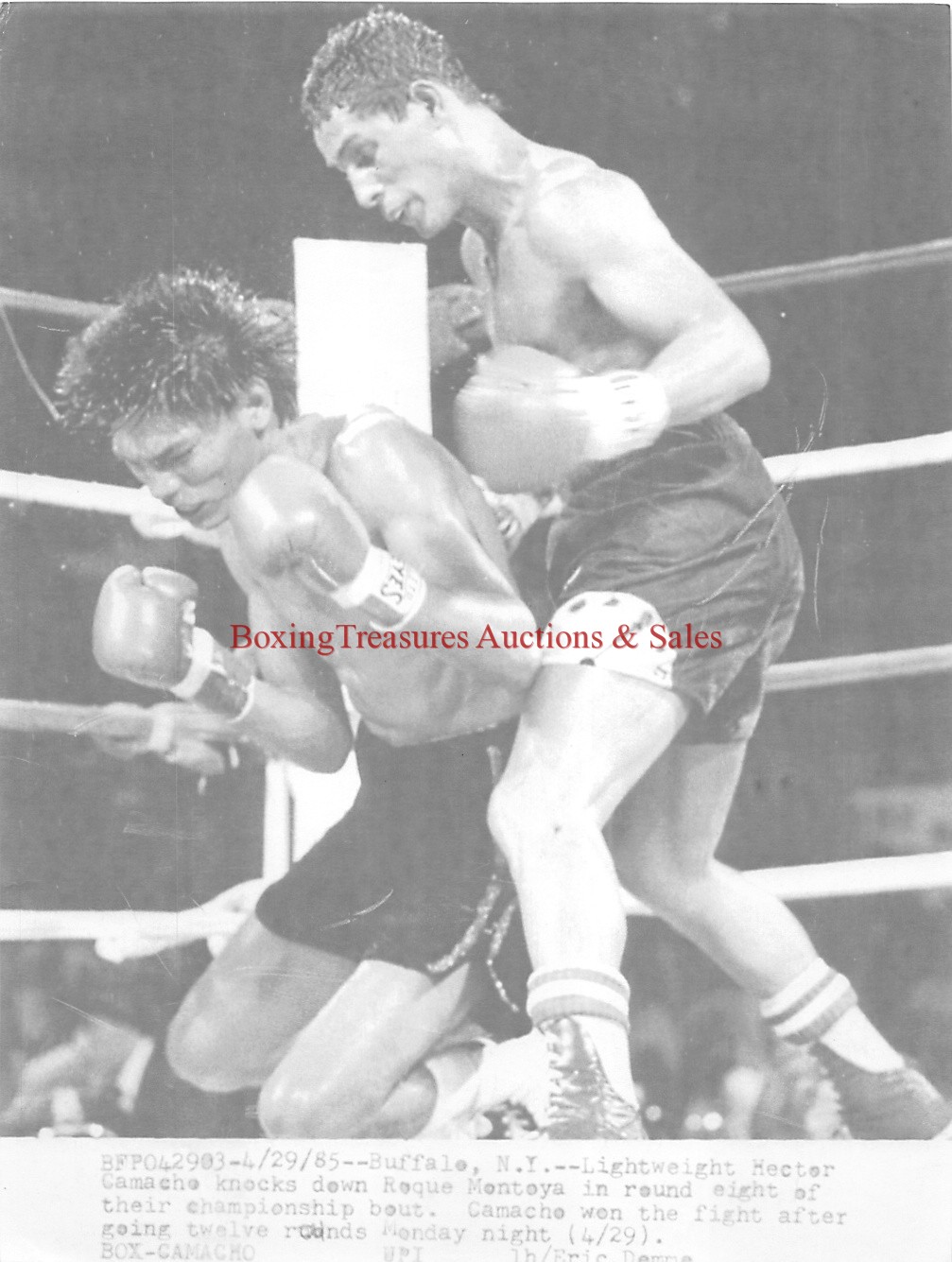 Memorial Auditorium Buffalo Boxing