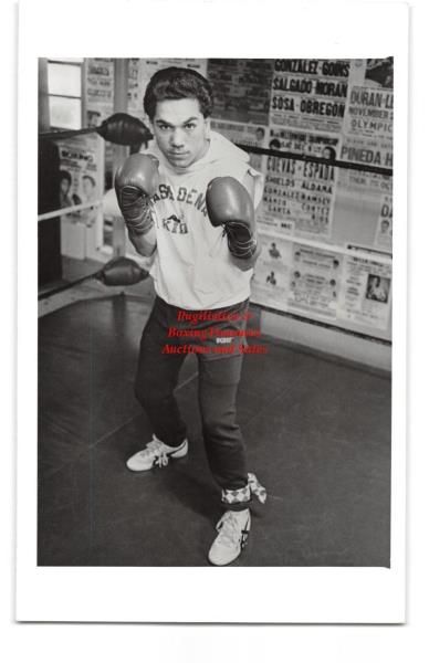 c. 1980s JOEY OLIVERA "Pasadena Kid" Vintage Boxing Photo LIGHTWEIGHT ...