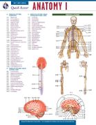 Anatomy 1 - REA's Quick Access Reference Chart