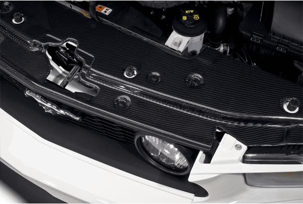 05-09 Mustang Carbon Fiber Radiator Cover|Cervini's