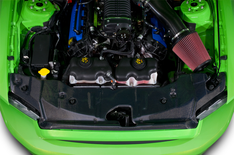 Mustang Carbon Fiber, 13-14 Radiator Cover - Cervini's