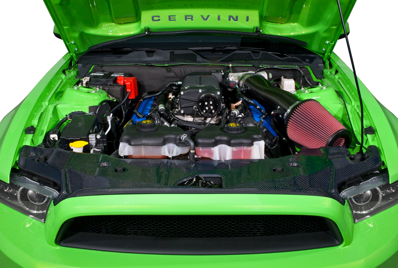 Mustang Carbon Fiber, 13-14 Radiator Cover - Cervini's