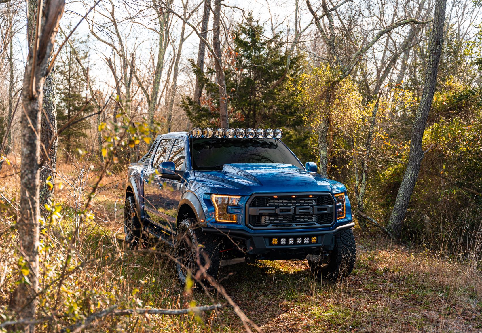 17-20 Raptor 4in Cowl Hood