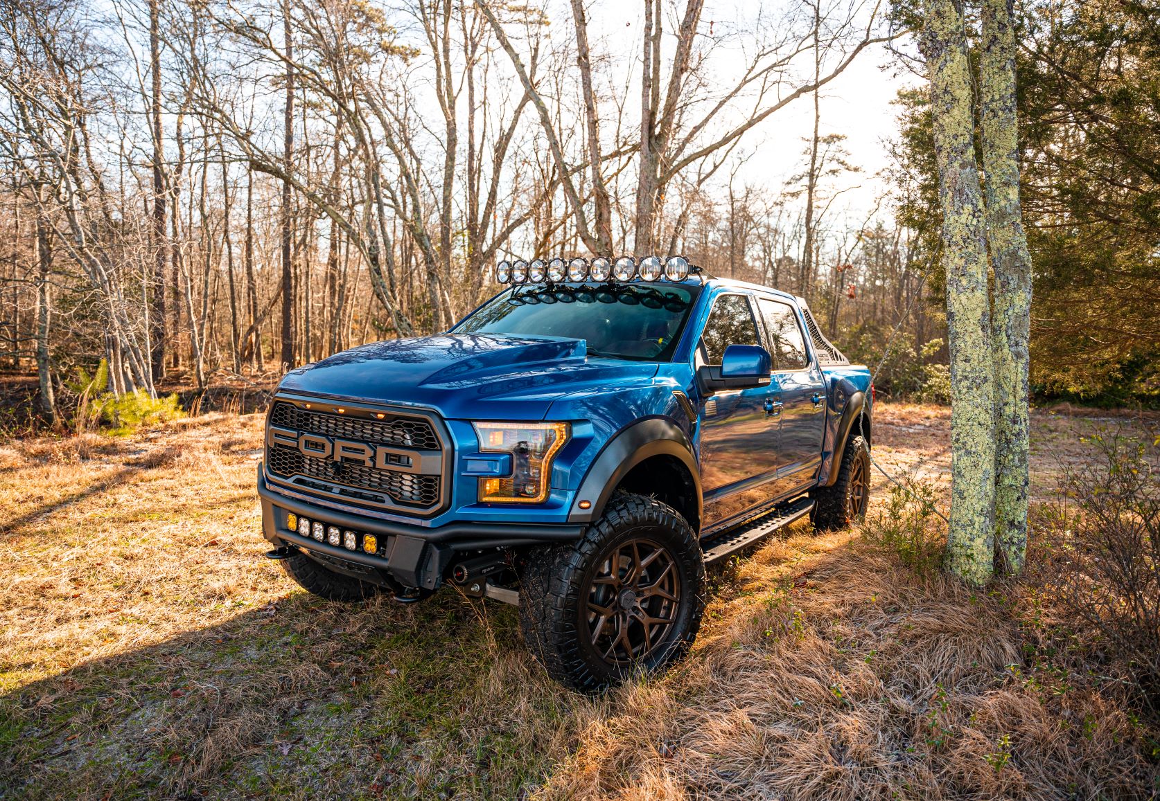 17-20 Raptor 4in Cowl Hood