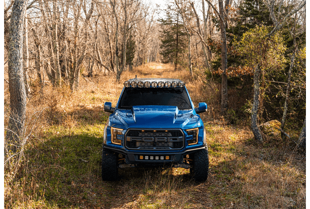 17-20 Raptor 4in Cowl Hood