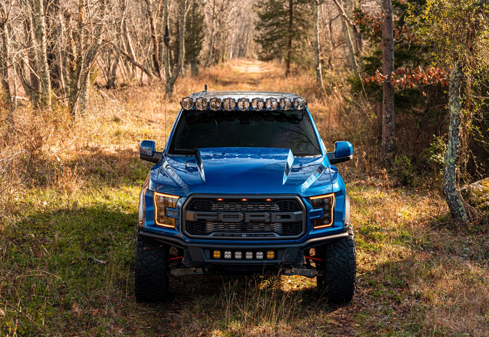 17-20 Raptor 4in Cowl Hood