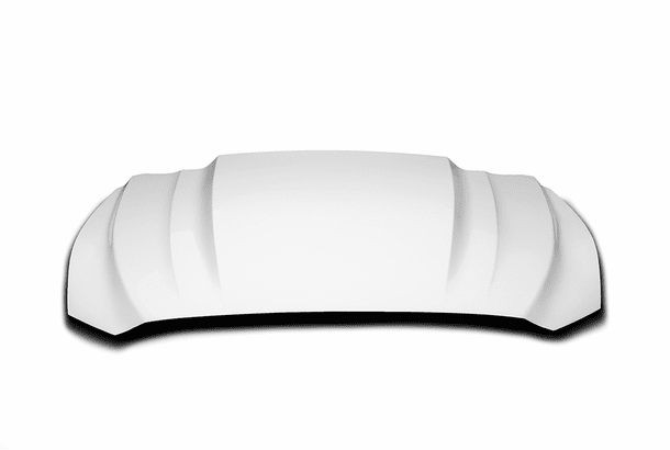 Mustang 2015-2017 Cobra R Hood|Cervini's Auto Designs