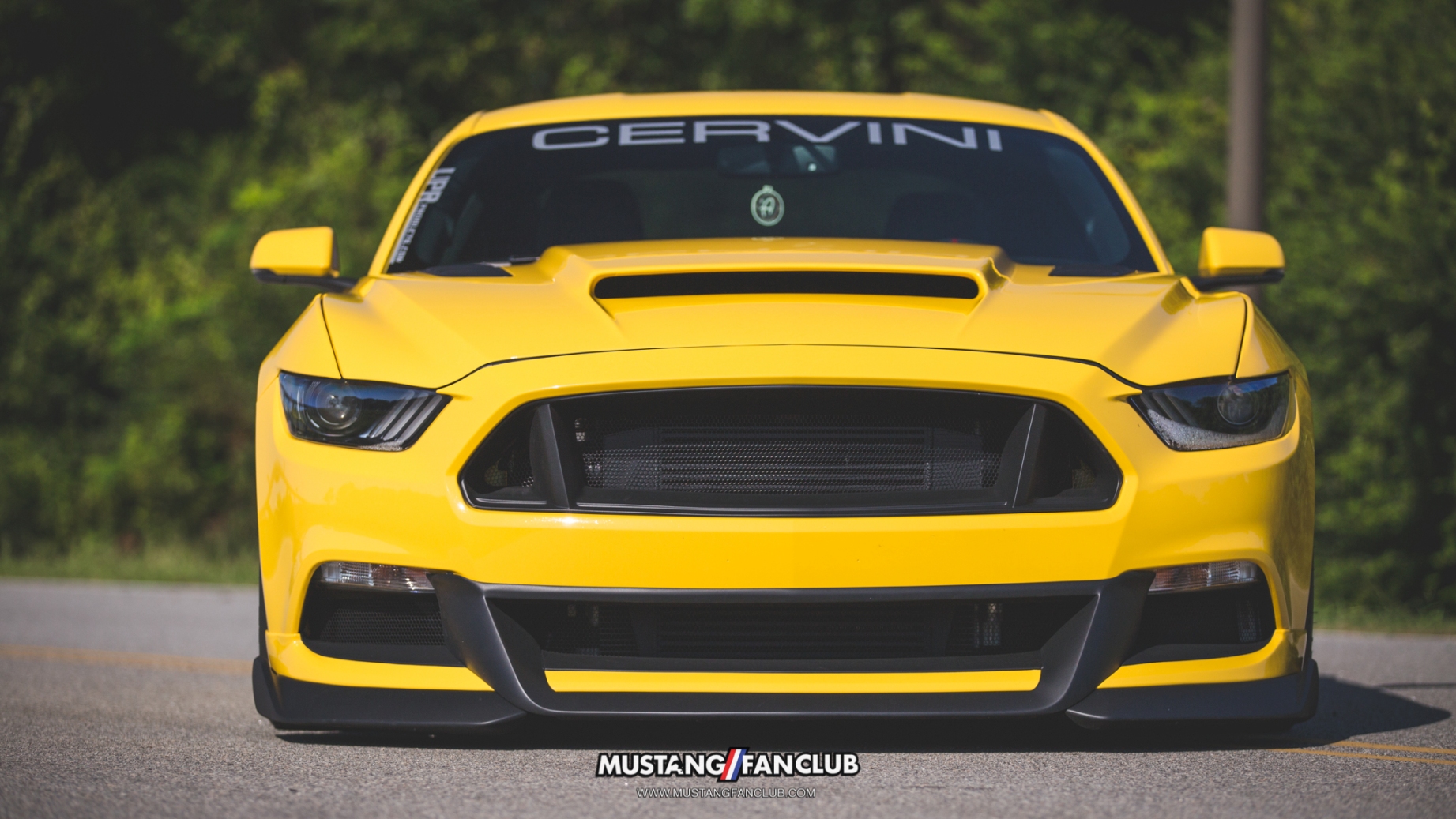 15-17 Mustang Stalker Body Kit|Cervinis