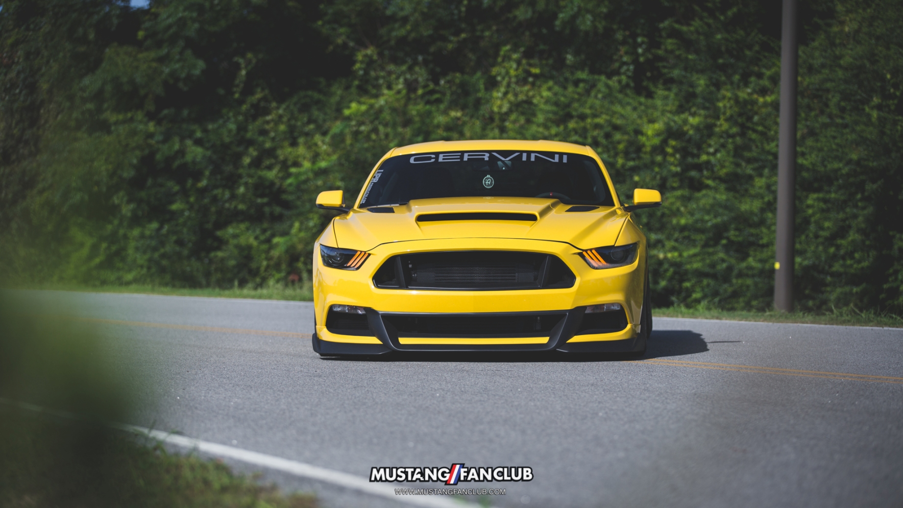 15-17 Mustang Stalker Body Kit|Cervinis