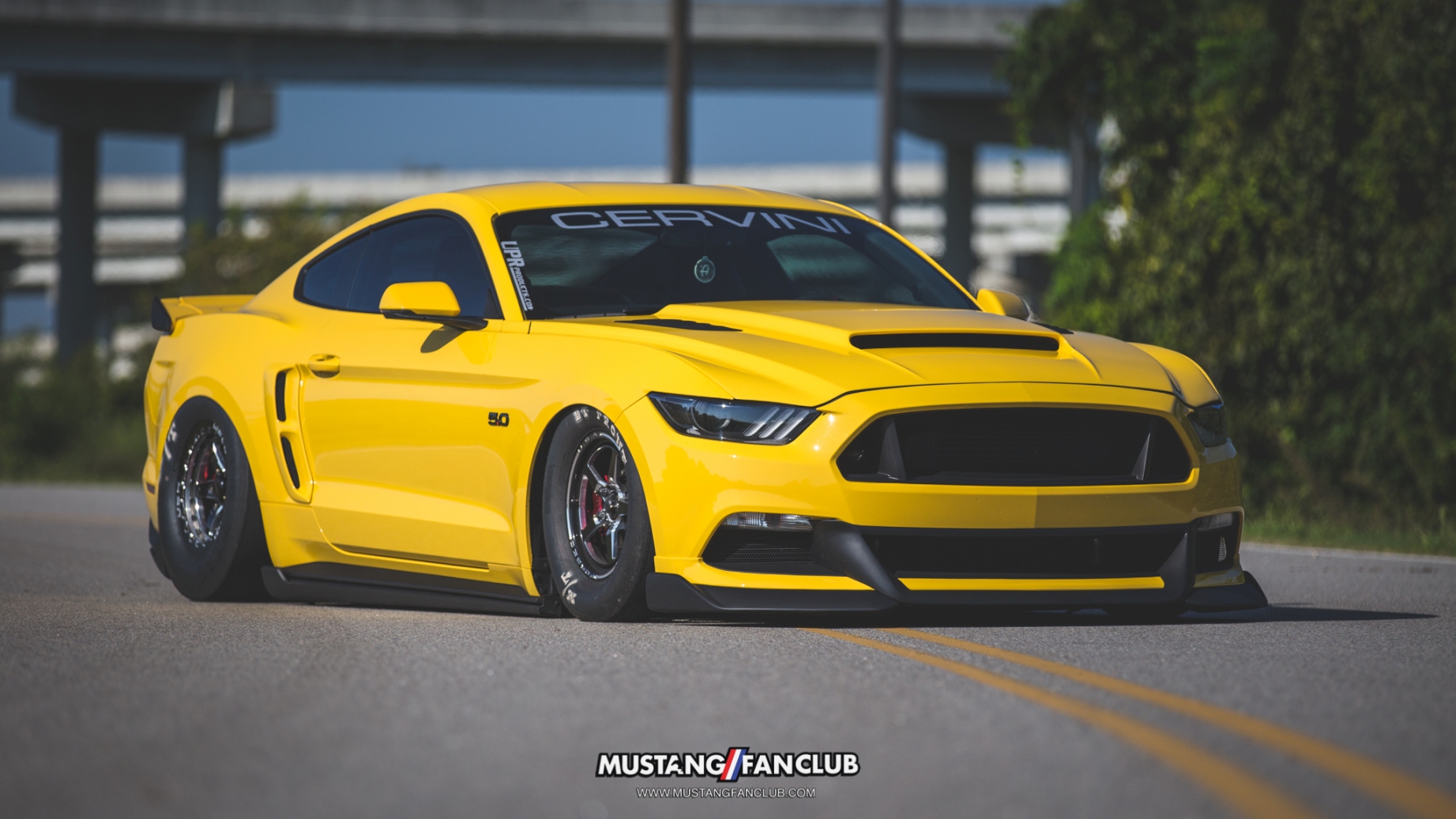 15-17 Mustang Stalker Body Kit|Cervinis