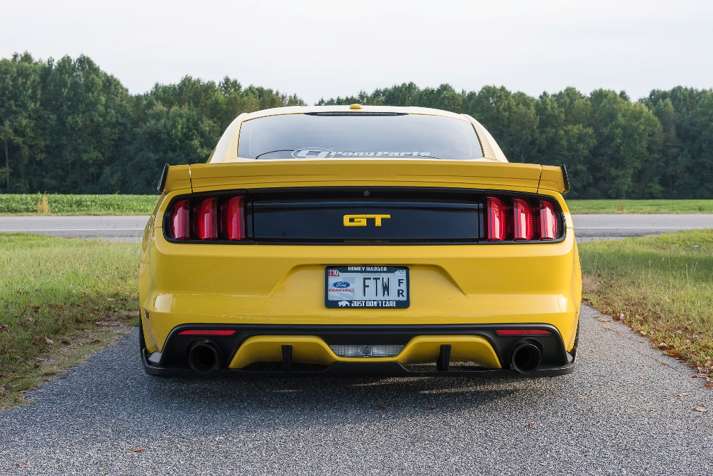 Rear Diffuser for 2018 Mustang|Mustang Rear Diffuser|Cervini's