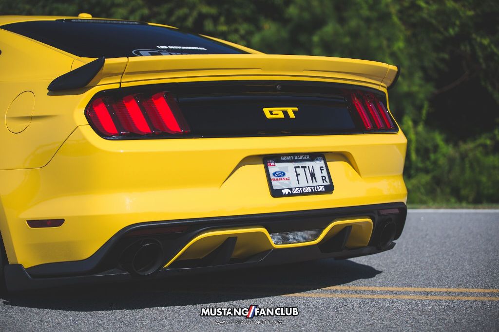 Rear Diffuser for 2018 Mustang|Mustang Rear Diffuser|Cervini's