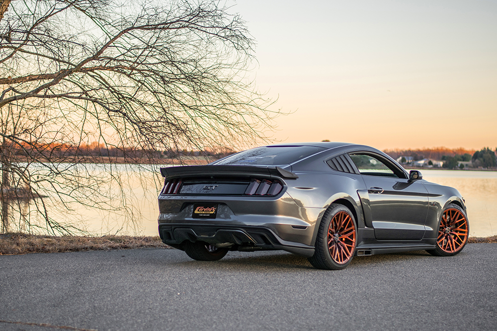 Mustang Stalker Rear Spoiler: 2015-2018|Cervini's