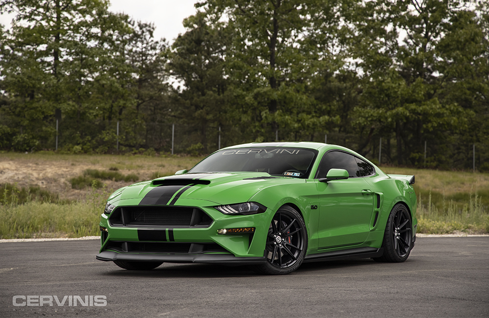 Mustang Stalker Hood, 18-19 Mustang Stalker Hood - Cervinis