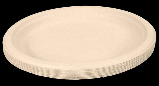 9in Plate - Fiber