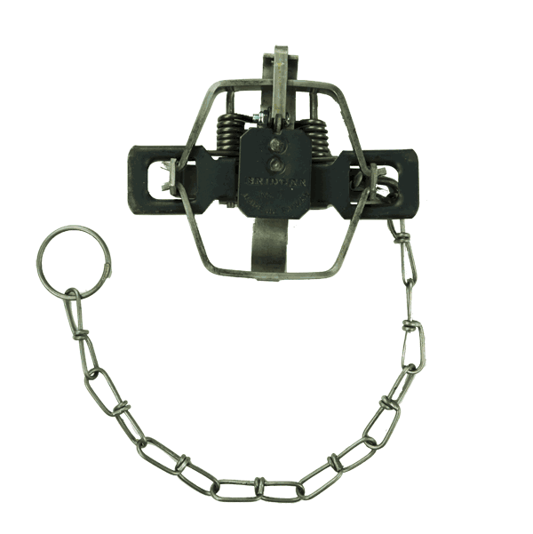 Spring Coiled Foot Trap