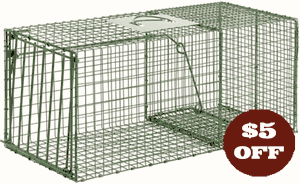 Duke Animal Trap - Large Heavy Duty - Model 1112