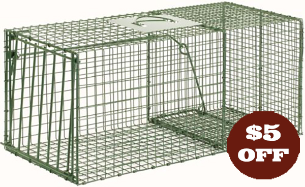 Duke Traps Heavy Duty Raccoon And Armadillo Trap (1112), 43% OFF