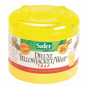Yellow Jacket Trap With Bait