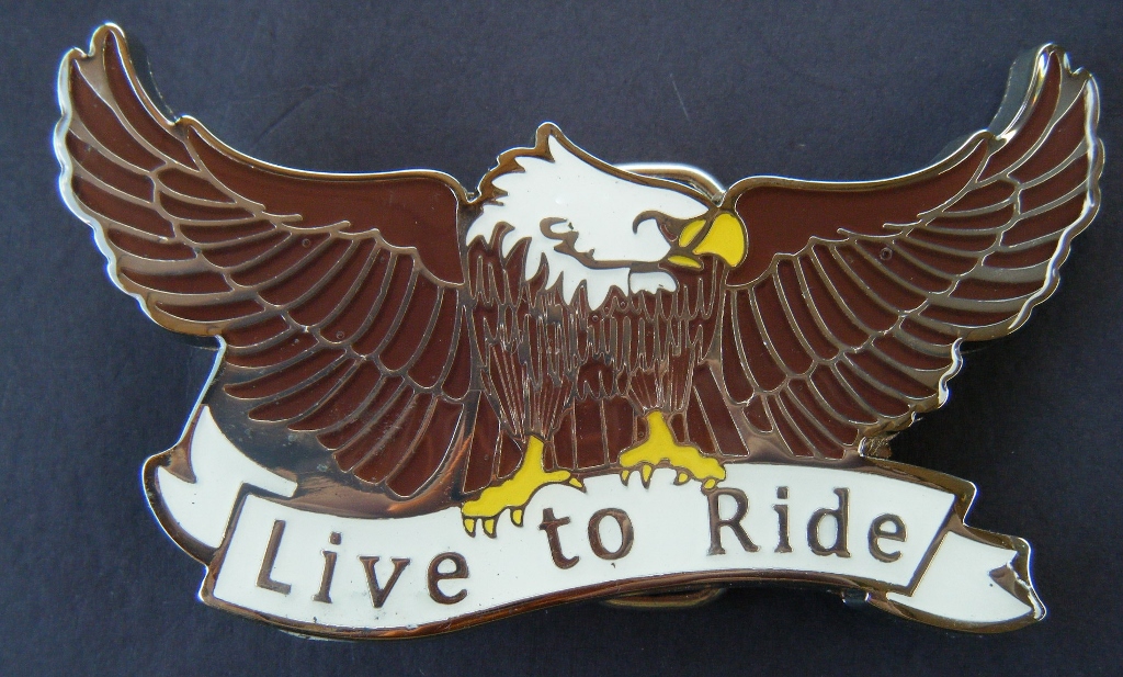 flying eagle belt buckle
