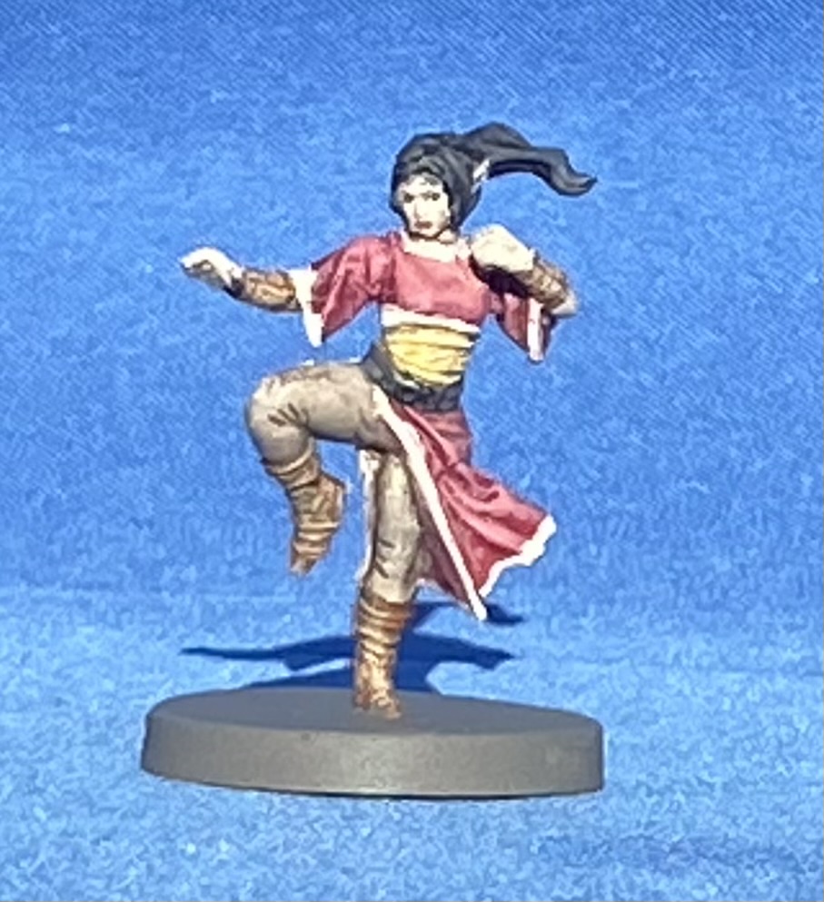 Female Elf Monk