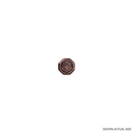 5 Years of Service Government Lapel Pin | Awards & Gifts R Us