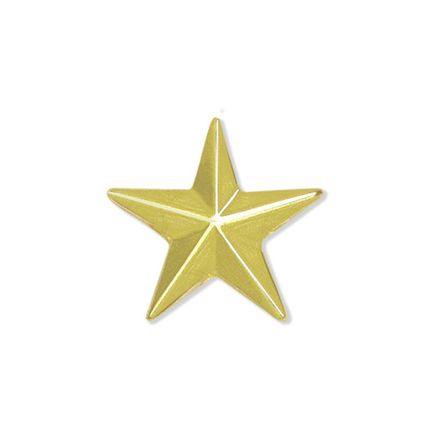 1/2 Inch Bright Gold Star Lapel Pin