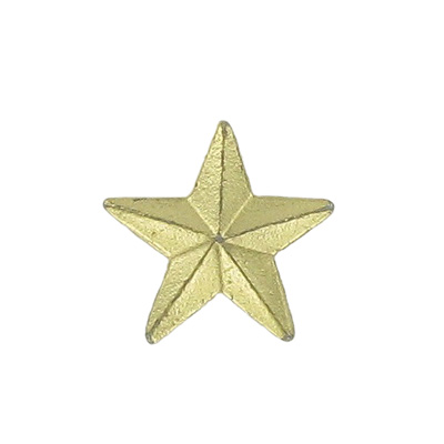 3/8 Inch Gold Star Lapel Pin