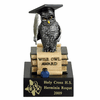 6 Inch Hand Painted Resin "Wise Owl Award" Trophy