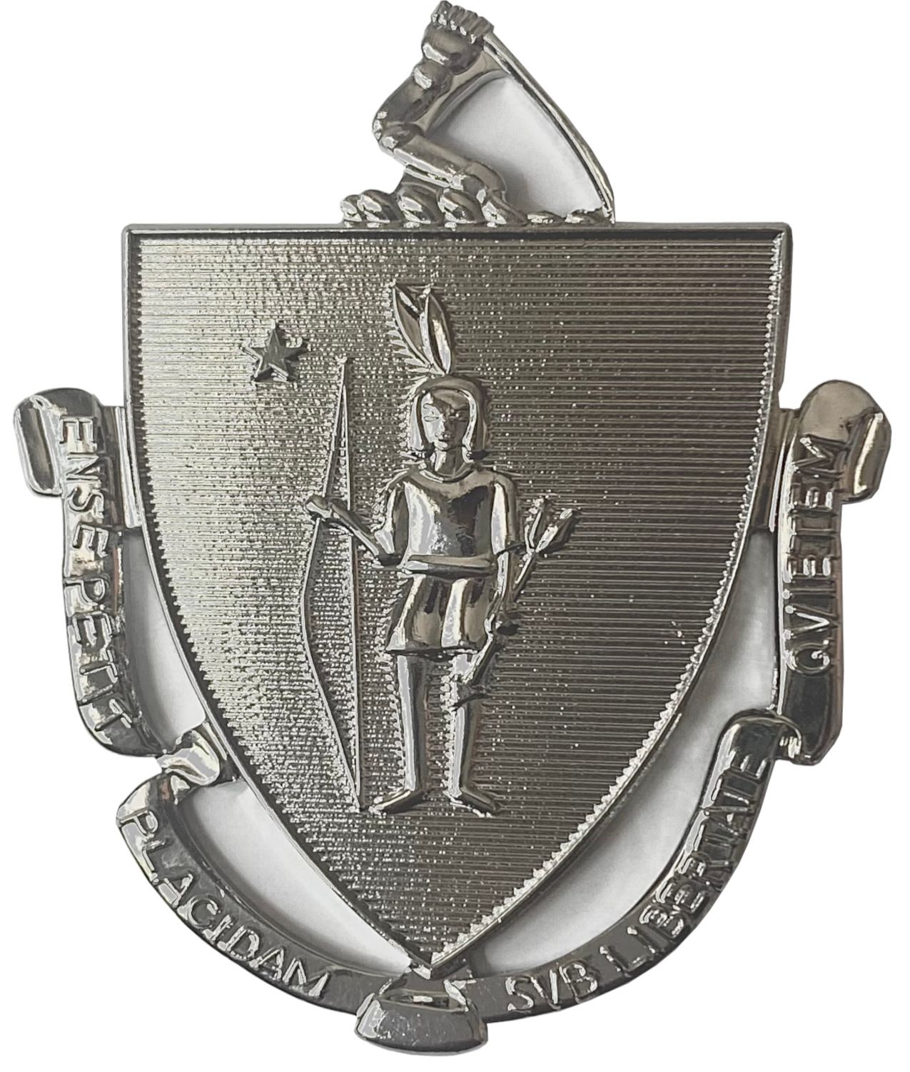 MA HAT BADGE SILVER