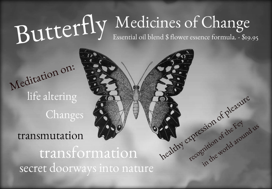 Butterfly - Medicines of Change