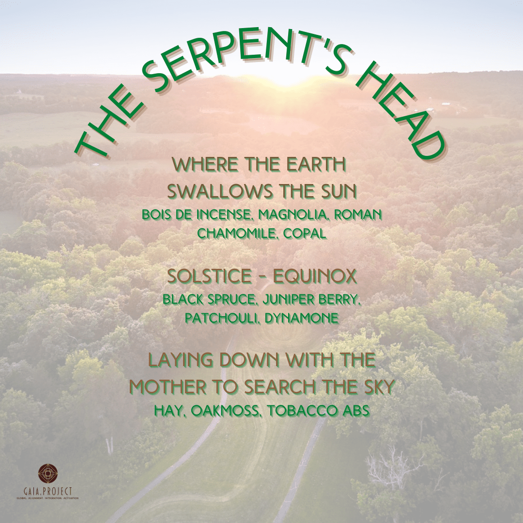 The Serpent's Head