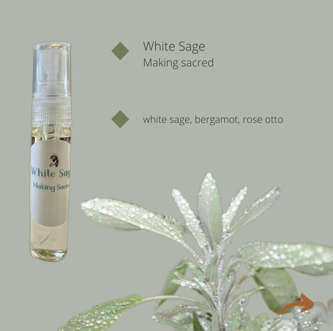 White Sage