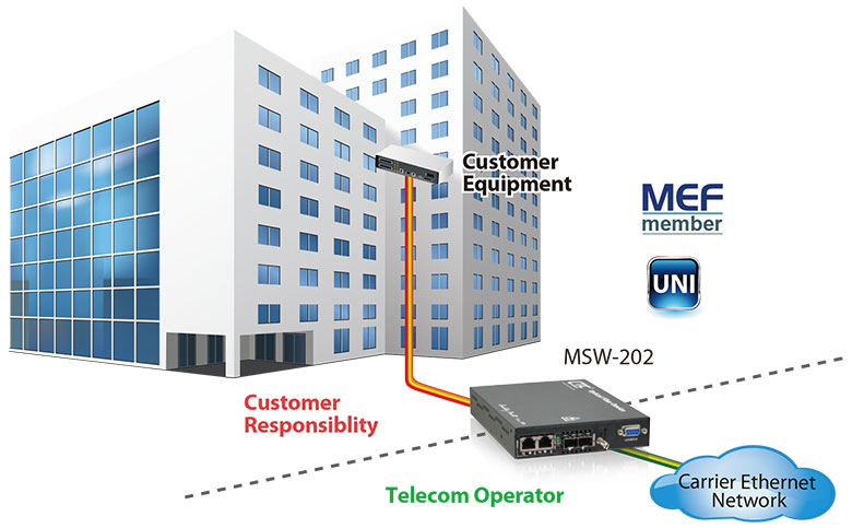 MSW-202-AC, Ethernet Demarcation Device - EDD