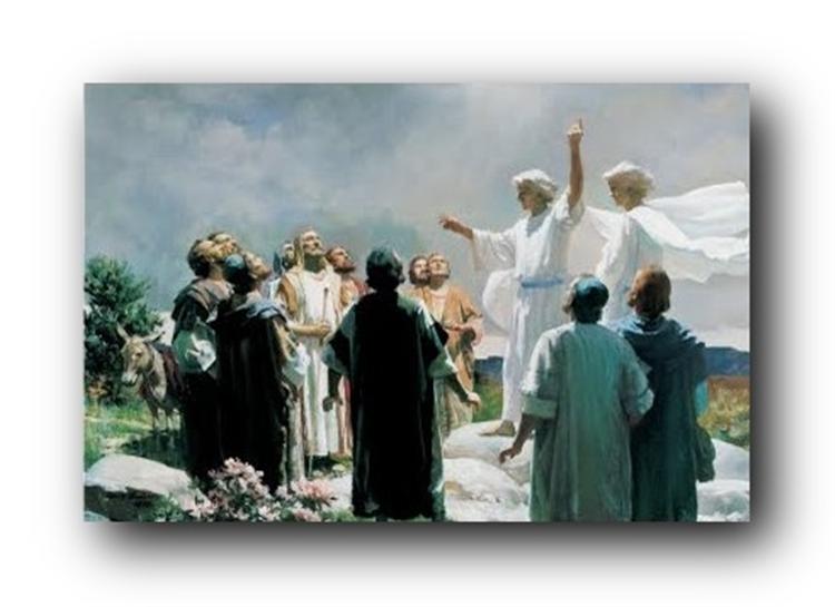 Harry Anderson Jesus