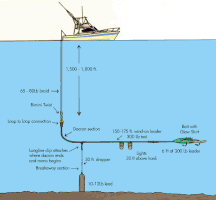 Daytime Swordfish Rig