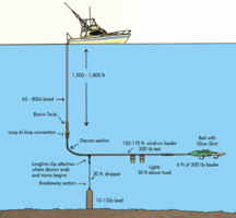 Daytime Swordfish Rig