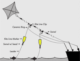 Kite Fishing Line Setup