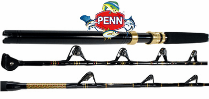 Penn International VI RodS