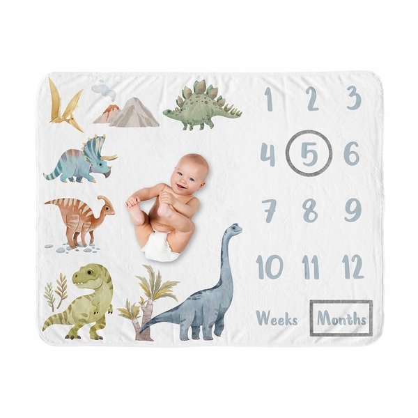 Watercolor Dinosaur Dino Collection Monthly Milestone Baby Blanket
