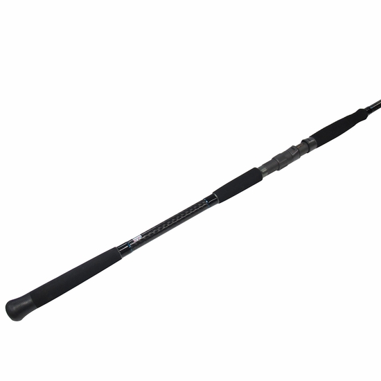 Black Hole Cape Cod Special Nano Surf Spinning Rods - Black Hole