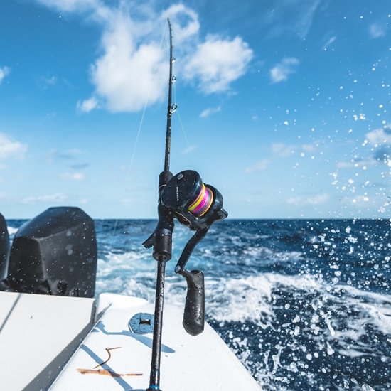 Daiwa 24 Saltiga Jigging Star Drag SAGSD15L Conventional Reel - Daiwa ...