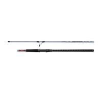 Daiwa Team Daiwa Surf Spinning Rods - Daiwa