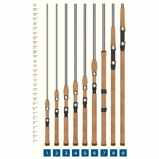 St. Croix Avid Series Inshore Spinning Rods - St. Croix